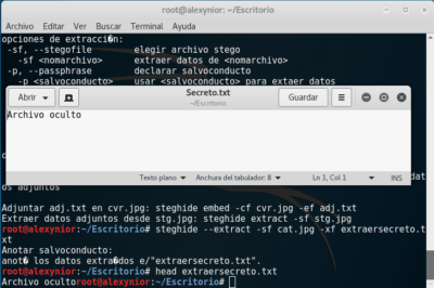 Steghide: Esteganografía para ocultar datos en Imágenes - EsGeeks