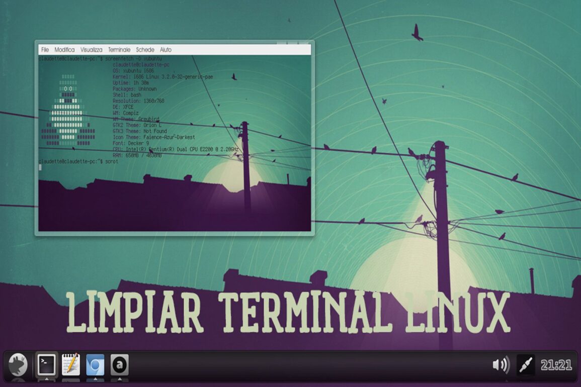 Mejores Trucos para Limpiar Terminal en Linux - EsGeeks