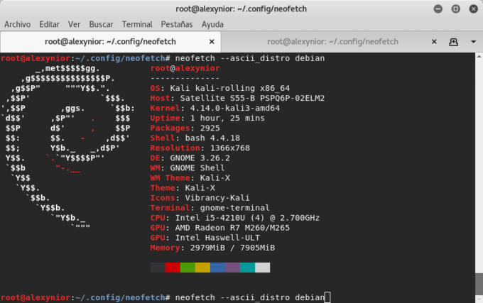neofetch: Obtener toda la información del sistema Linux | EsGeeks
