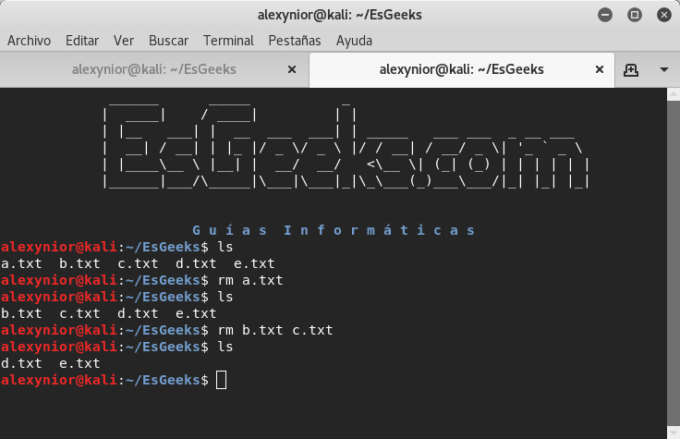 Usos del comando rm en Linux (con ejemplos) » EsGeeks