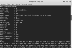 PyCPU: Herramienta para Information Gathering CPU » EsGeeks