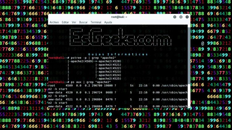 Cómo usar Kill, Pkill y Killall para matar cualquier proceso » EsGeeks