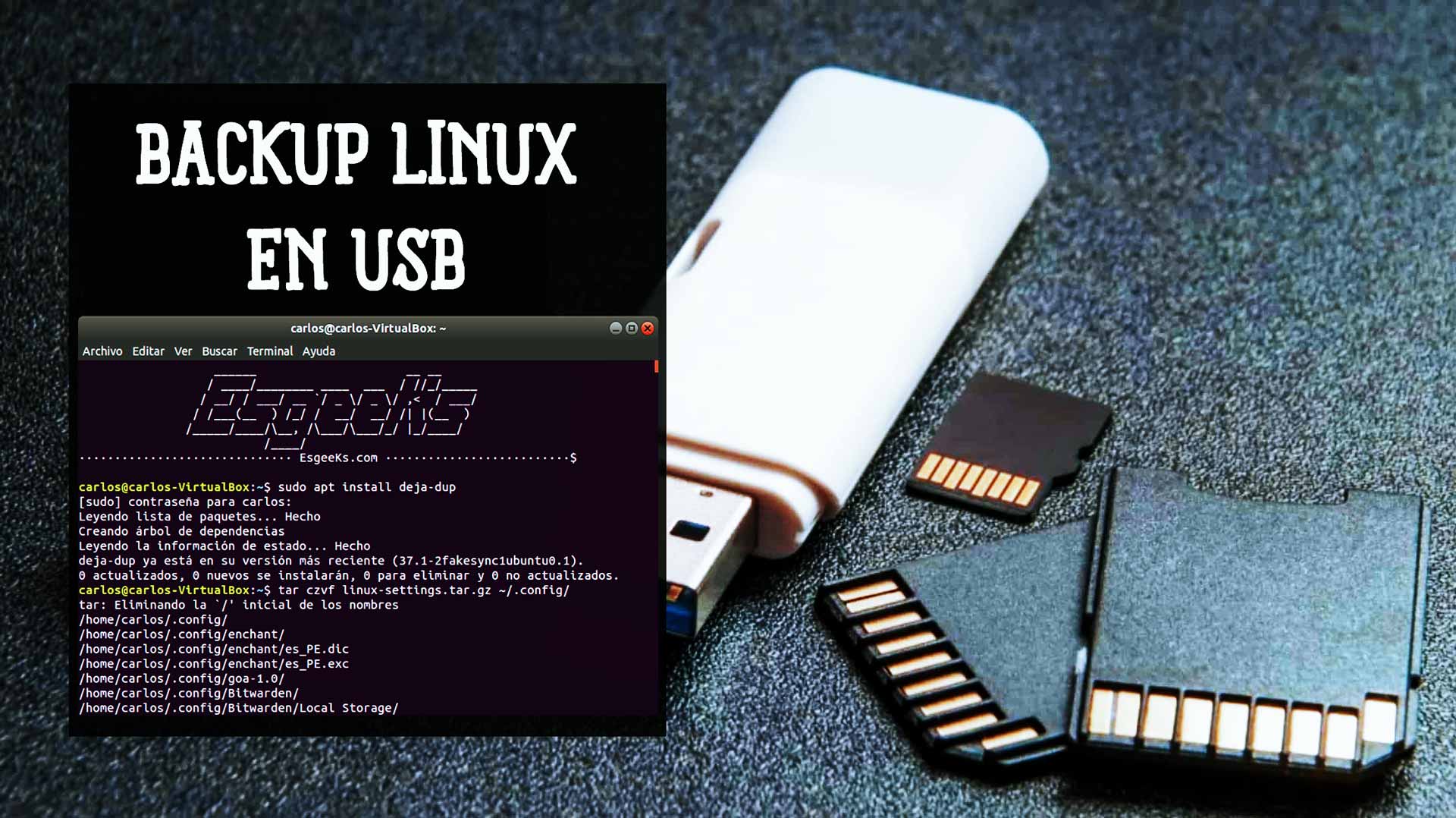 Crear backup de la configuración de Linux en un USB » EsGeeks
