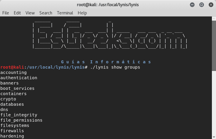 Lynis: Auditoría de Seguridad para Sistemas Linux » EsGeeks