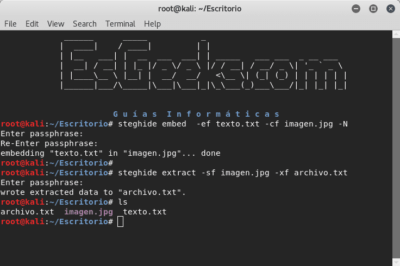 Esteganografía con Steghide: Guía completa de uso » EsGeeks