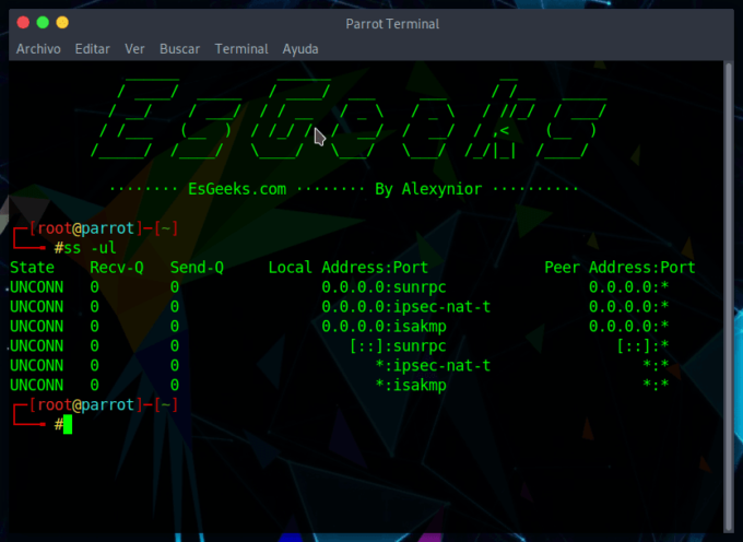 Escanear puertos abiertos con: Ss, Netstat, Lsof y Nmap » EsGeeks