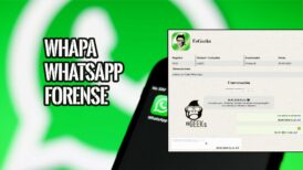 WHAPA: Herramienta Parser para WhatsApp » EsGeeks