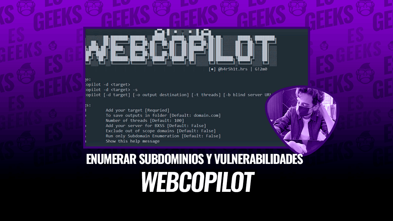 WebCopilot: Enumerar Subdominios y Buscar Vulnerabilidades » EsGeeks