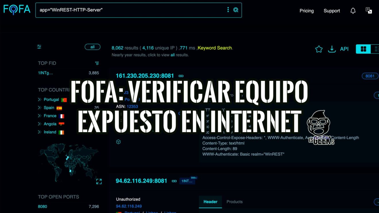 FOFA: Plataforma Ciberseguridad para Detectar Vulnerabilidades » EsGeeks
