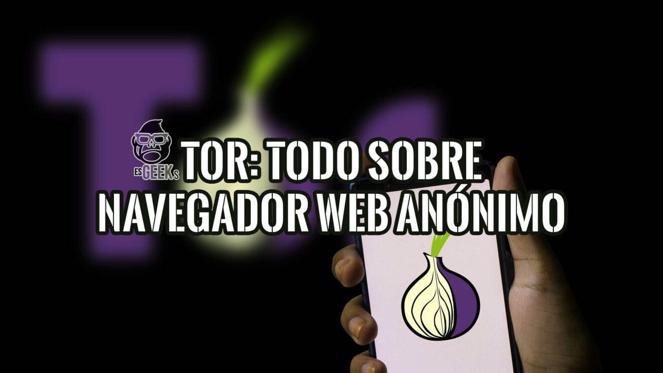 Navegador Tor: Instalación, Uso y Anonimato (Tor Browser)