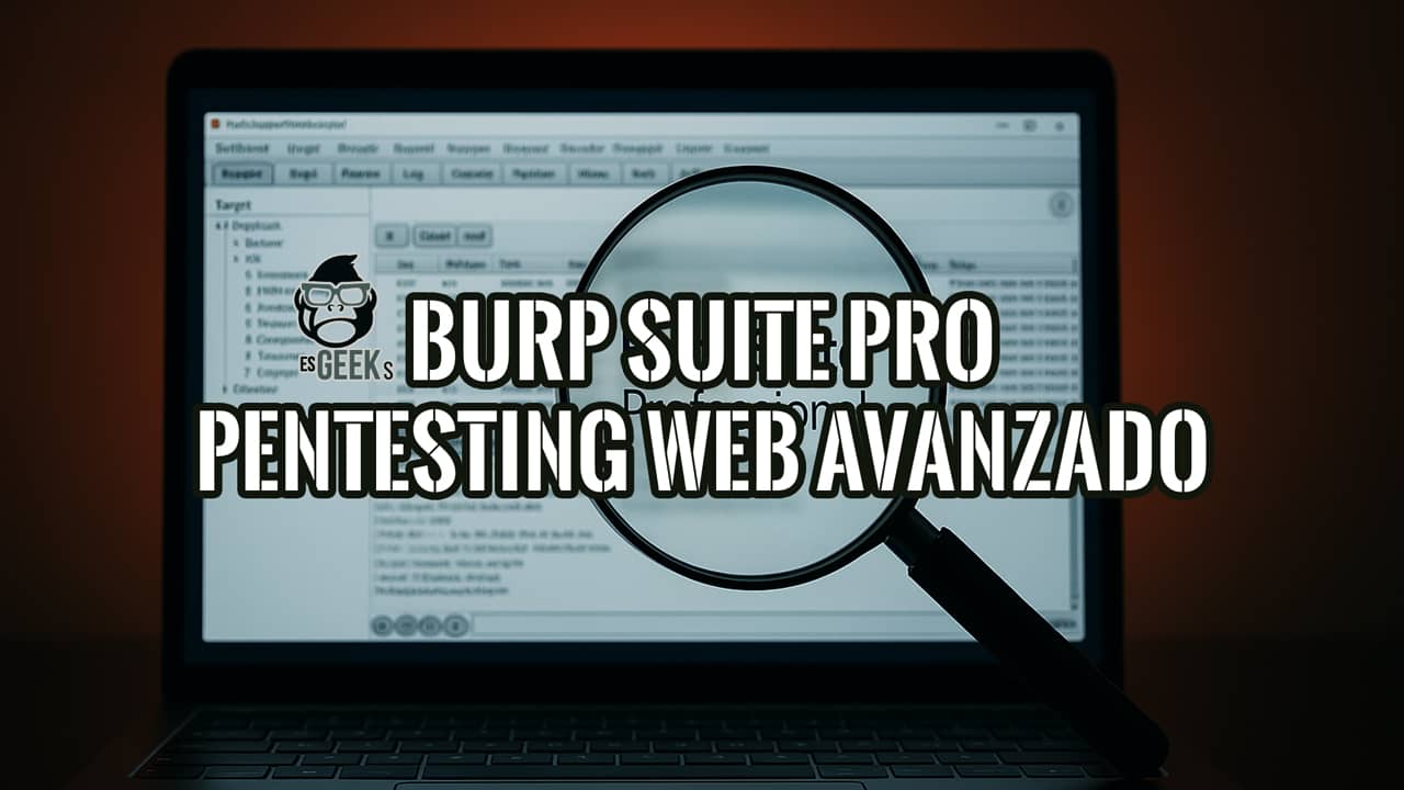 Guía Burp Suite Pro: Domina el Pentesting Web Profesional